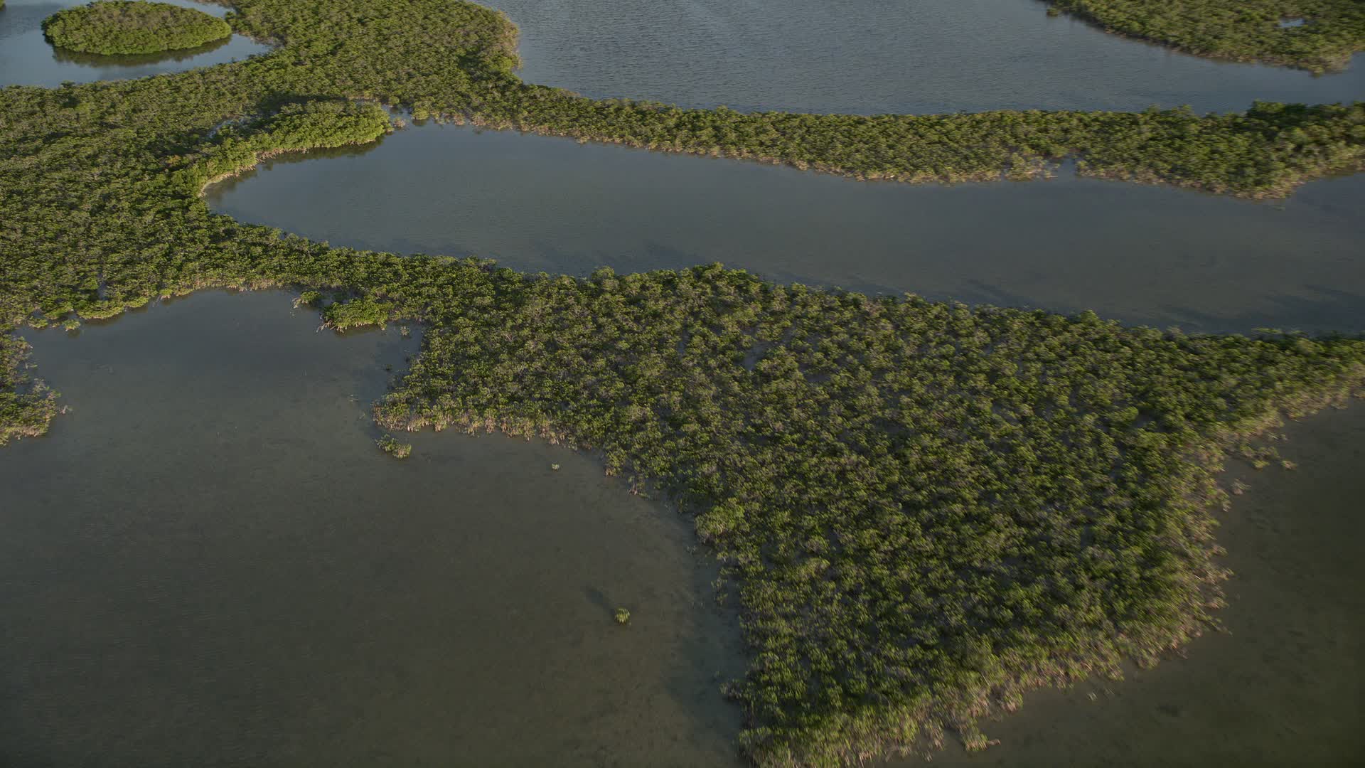 Long Key, Florida Aerial Stock Footage and Photos - 7 Results | Axiom ...