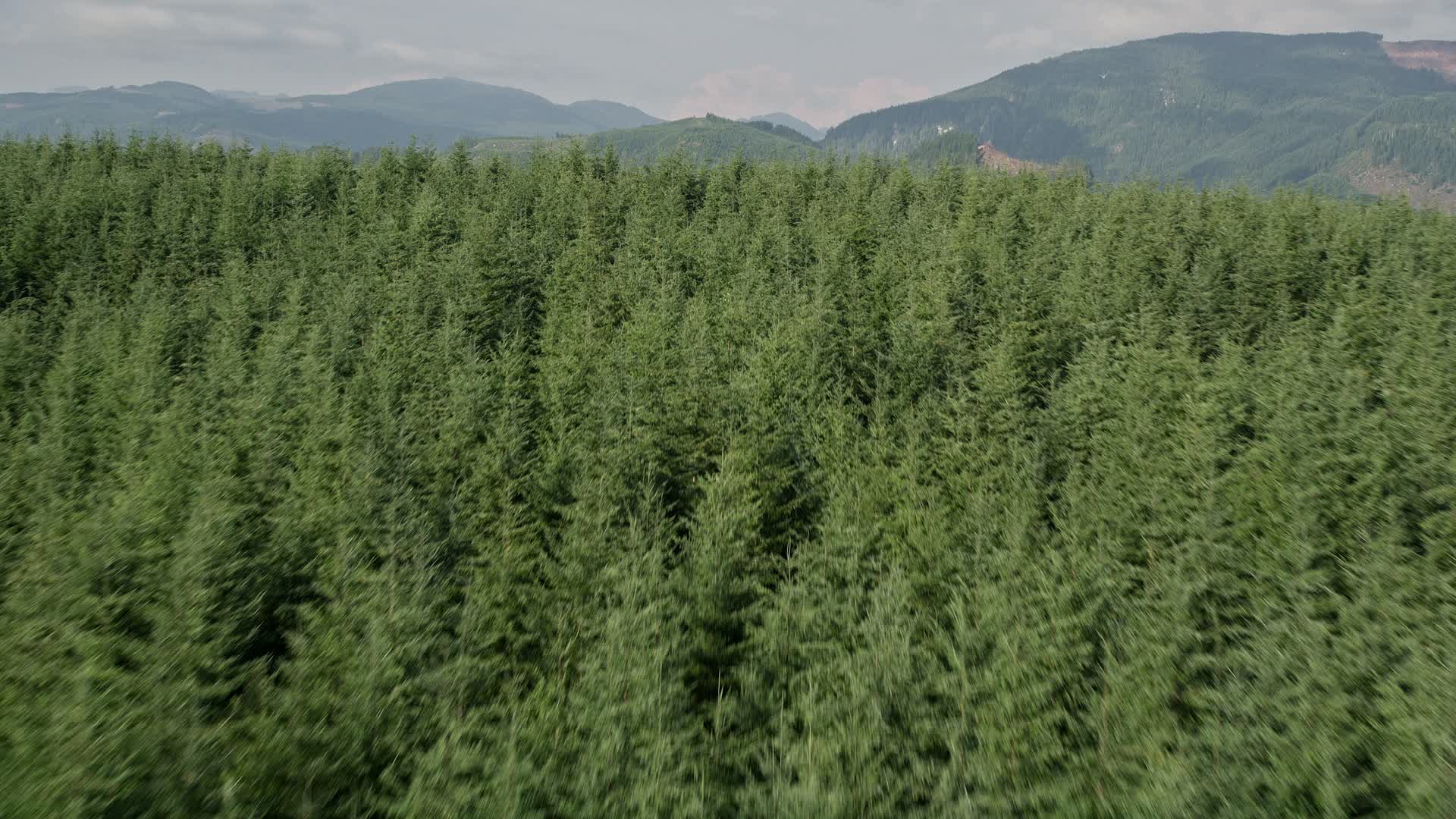 King County, Washington Aerial Stock Footage - 561 Videos | Axiom Images