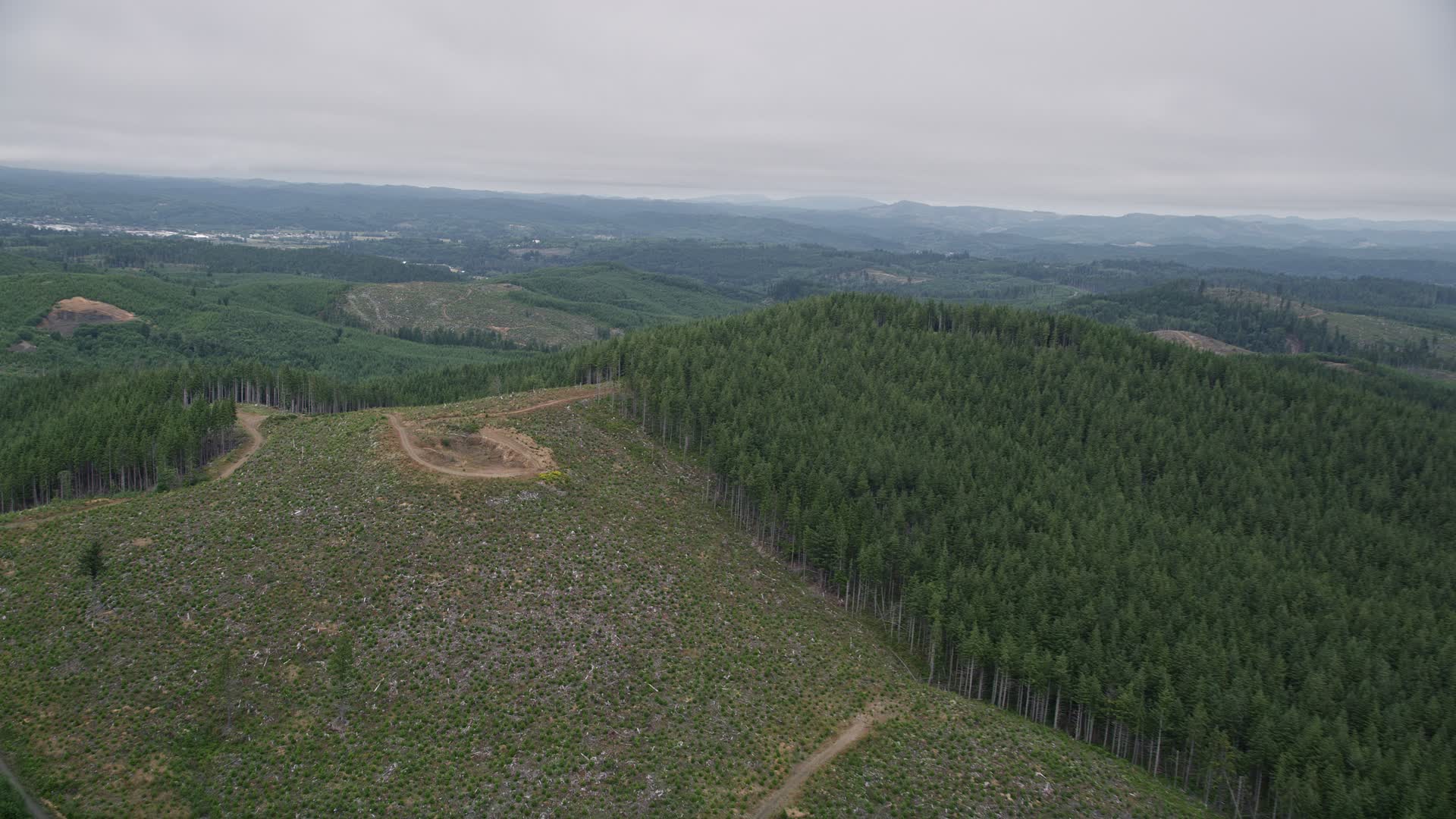 Forest Clear Cutting Logging Aerial Stock Footage 75 Videos Axiom
