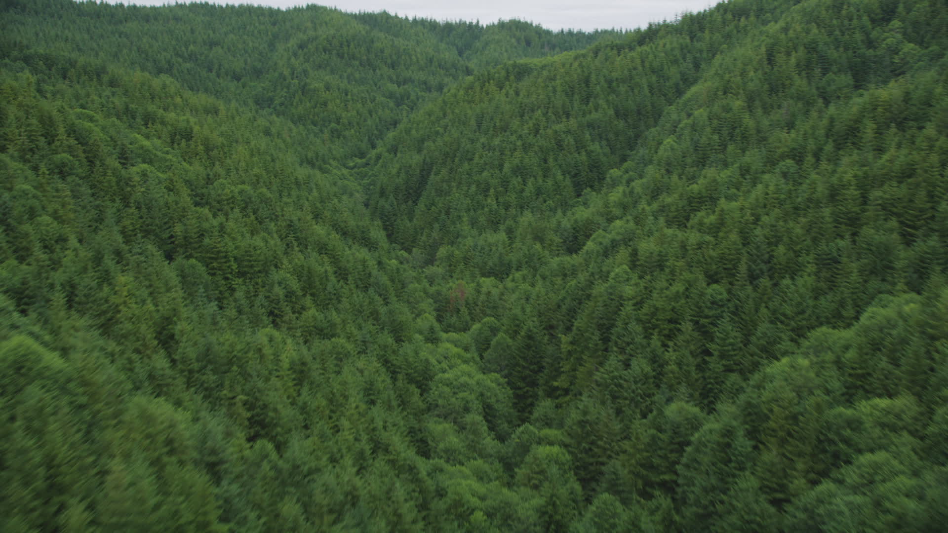 Evergreen Forests Aerial Stock Footage and Photos - 692 Results | Axiom ...